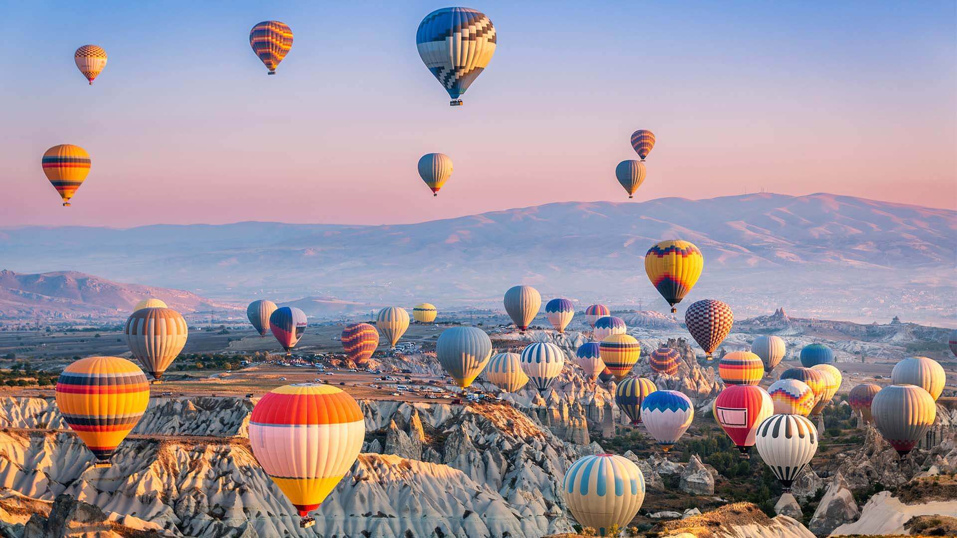 Turkish Translation Services | Prestige Network