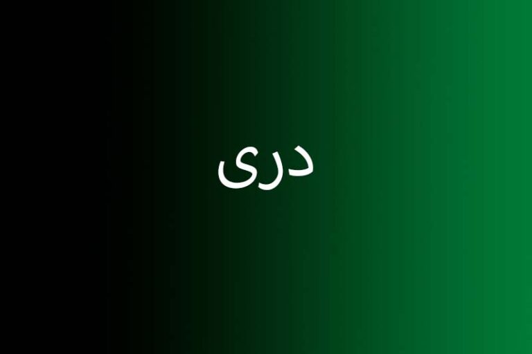 Languages – Prestige Network