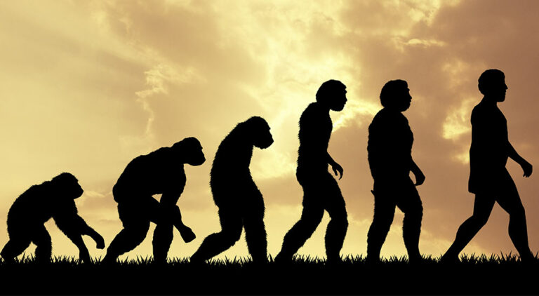 How and Why Does Language Change Over Time? – Prestige Network